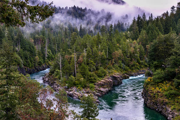 Coast Redwoods, Redwood National Park. Facts, Photos and Redwood Hiking ...